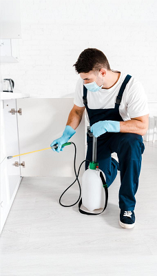 Pest Control Near Me: Safe, Fast & Local Solutions That Work